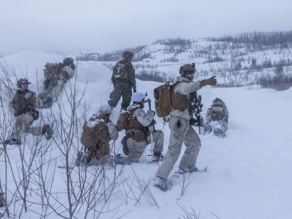 DVIDS - Images - U.S. Marines of 2nd Marine Regiment Conduct a Platoon ...