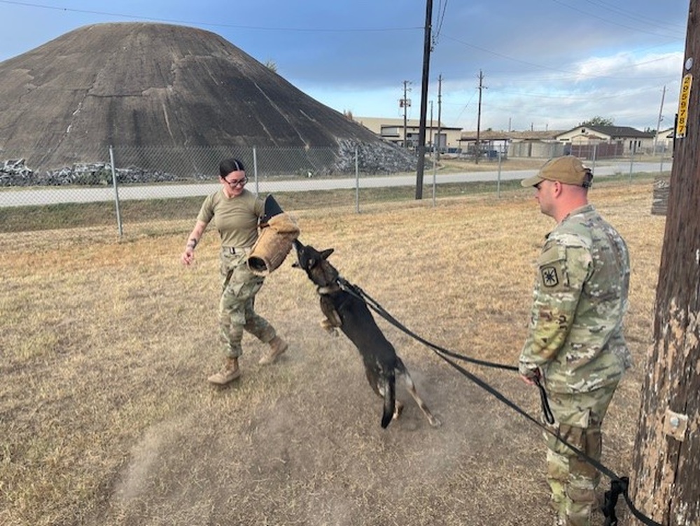 DVIDS - Images - Ruff beginning in Hawaii for new dog handler [Image 2 ...