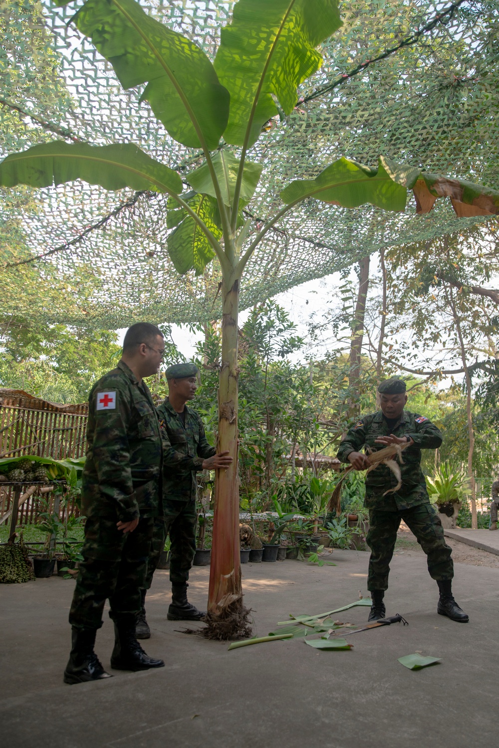 DVIDS - Images - 15th MEU Learns How to Survive in the Jungle [Image 3 of 20]