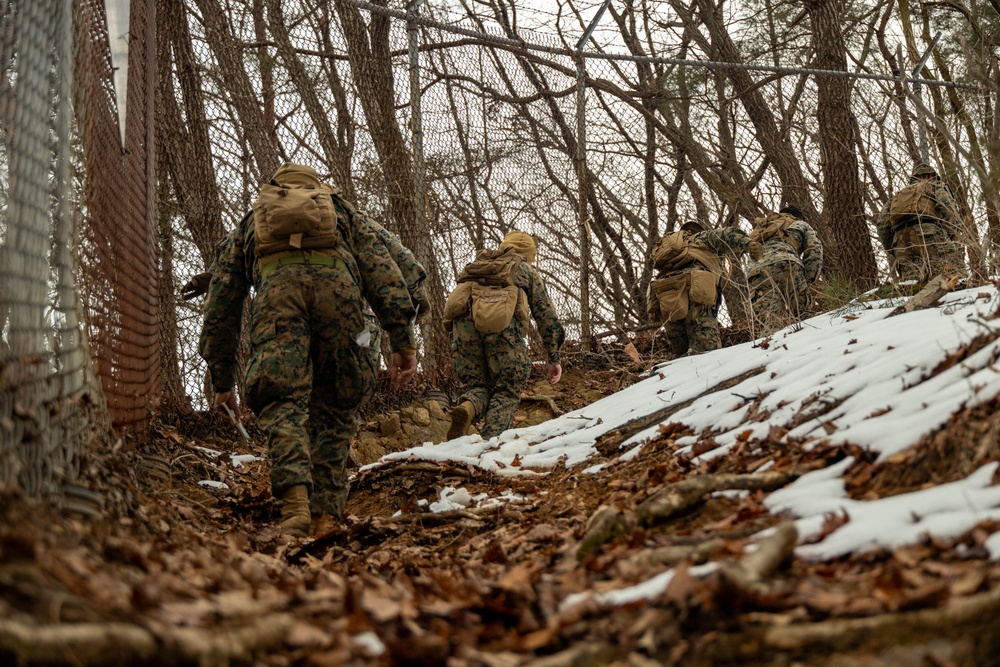 DVIDS - Images - Warrior Shield 24 | 3rd MLG conducts Land Navigation ...