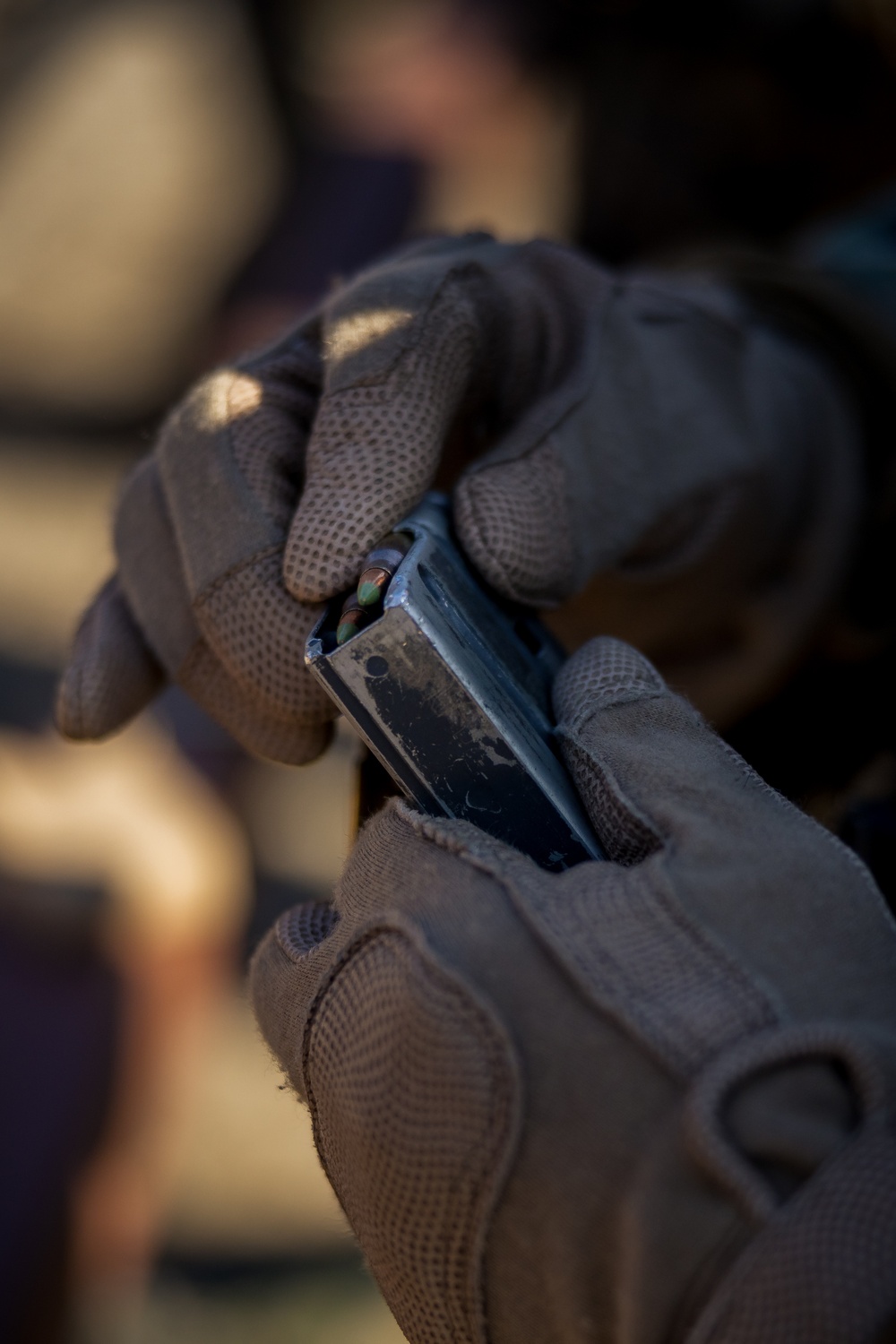 DVIDS - Images - Warrior Shield 24: Known Distance Range [Image 1 of 19]