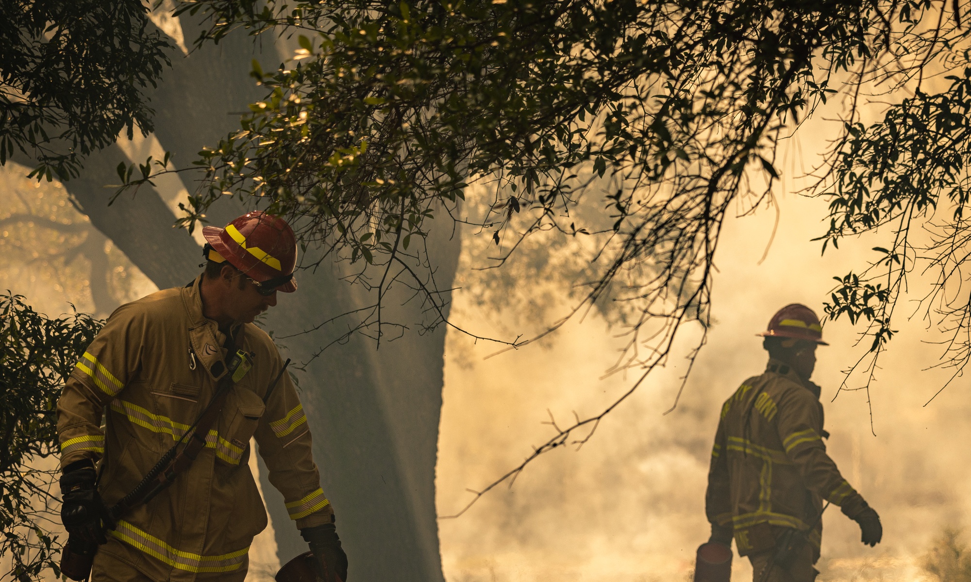 DVIDS - Defense Visual Information Distribution Service