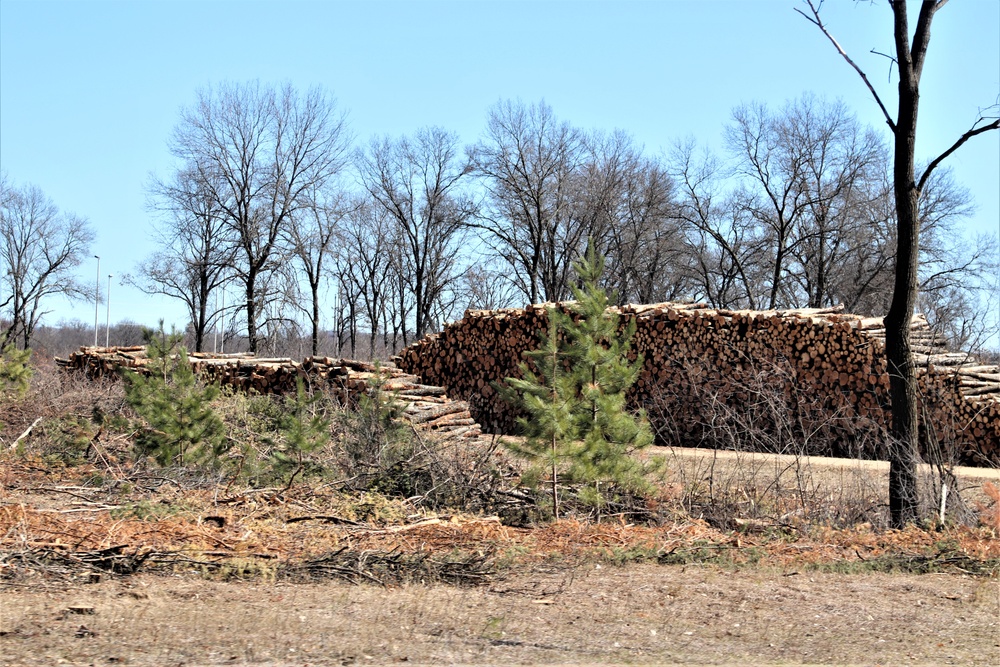 DVIDS - Images - Fort McCoy timber harvest improves training capability ...