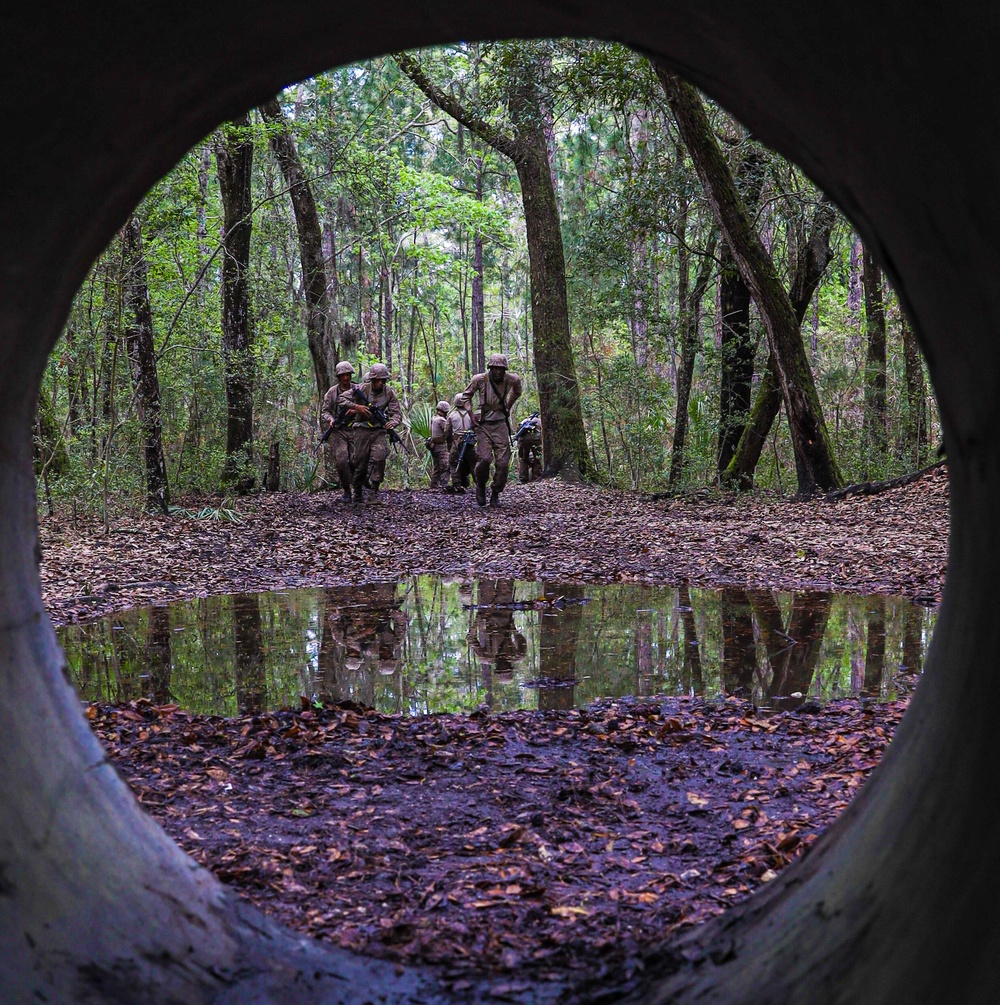 DVIDS - Images - Charlie Company Crucible [Image 2 of 11]