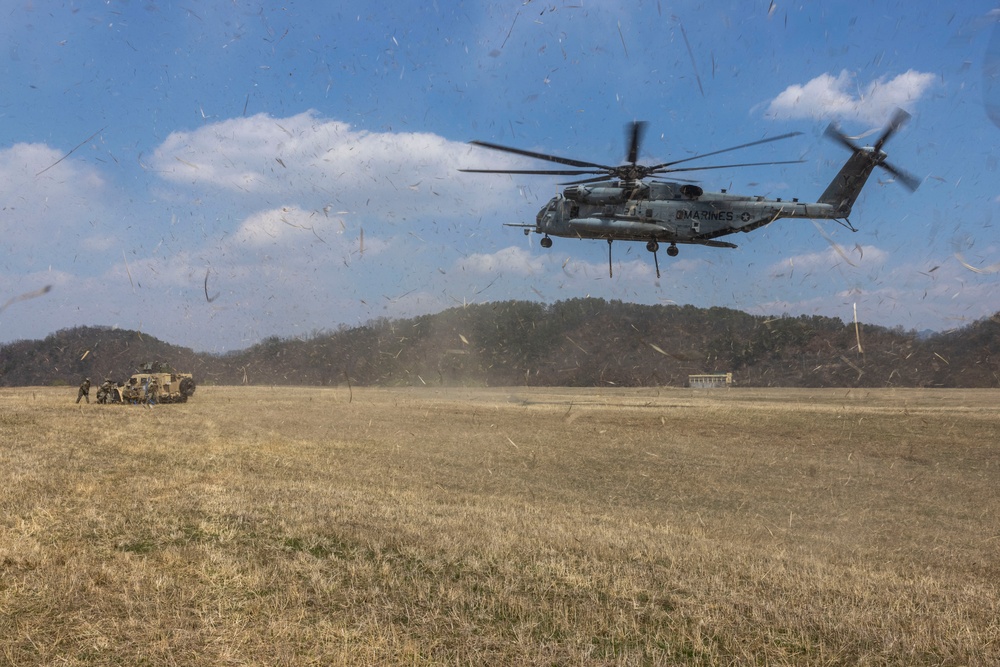 DVIDS - Images - 3rd LSB conducts HST operations during Warrior Shield ...