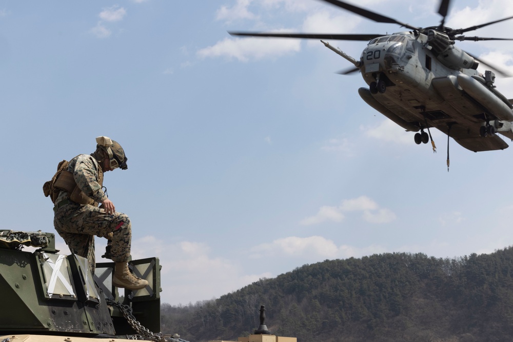 DVIDS - Images - 3rd LSB conducts HST operations during Warrior Shield ...