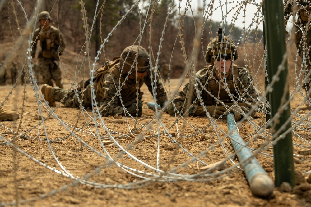 DVIDS - Images - Warrior Shield 24 | U.S. and ROK Marines conduct ...