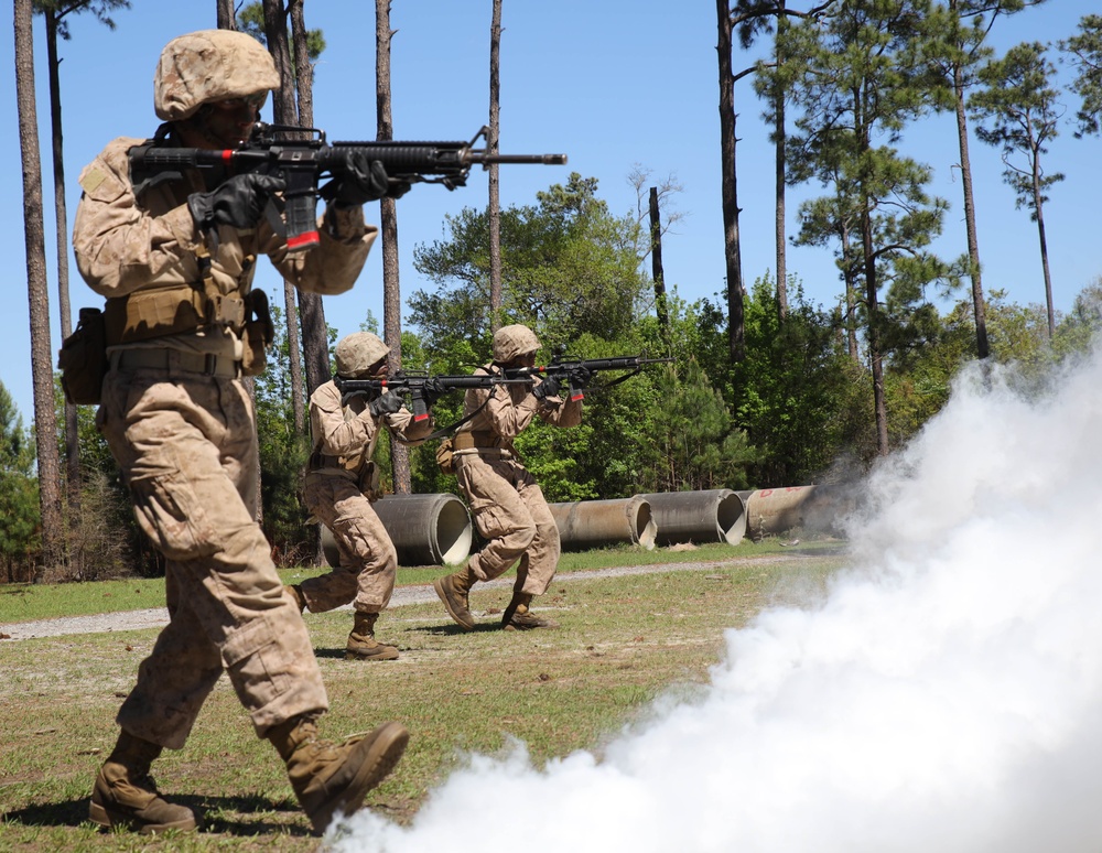 DVIDS - Images - Delta Company Basic Warrior Training [Image 8 of 8]