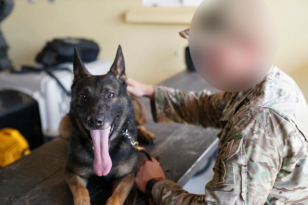 DVIDS - Images - 7th Special Forces Group conducts Multipurpose Canine ...