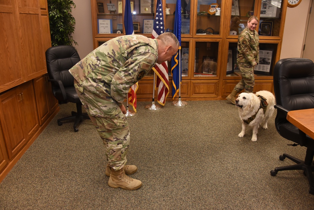 DVIDS - News - Iowa Air Guard support dog, and Chaplain reunite ...