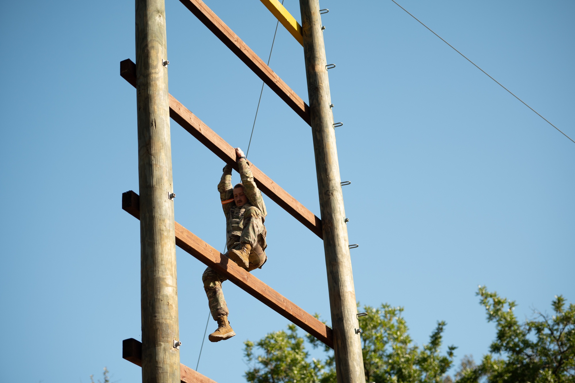 Army Confidence Course Ladder