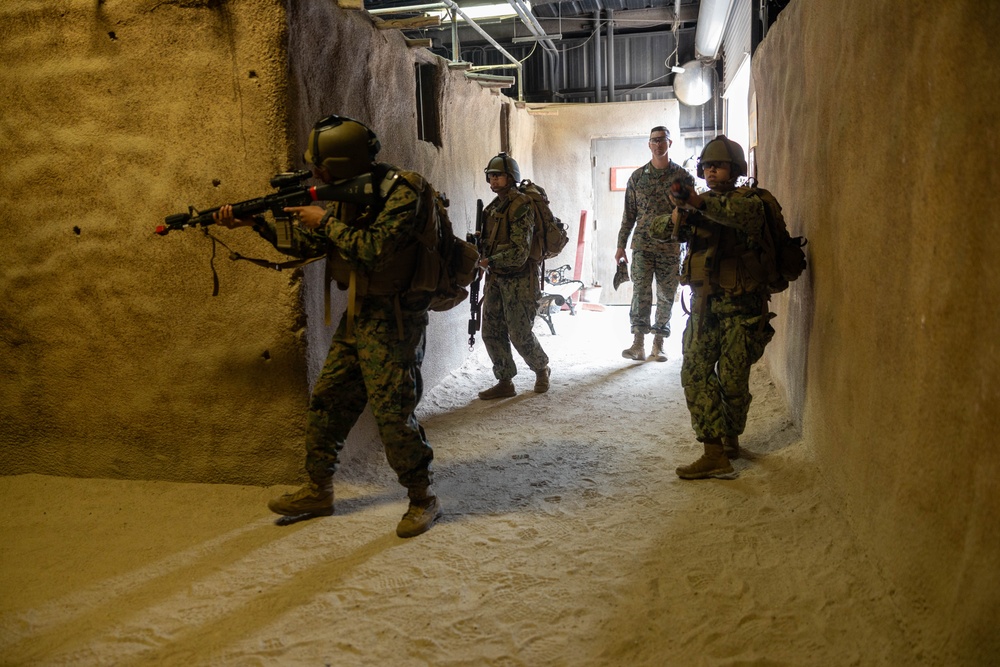 DVIDS - Images - CORTRAMID Infantry Immersion Trainer [Image 8 of 9]