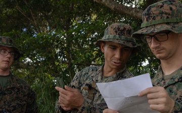 DVIDS - 3d Marine Division