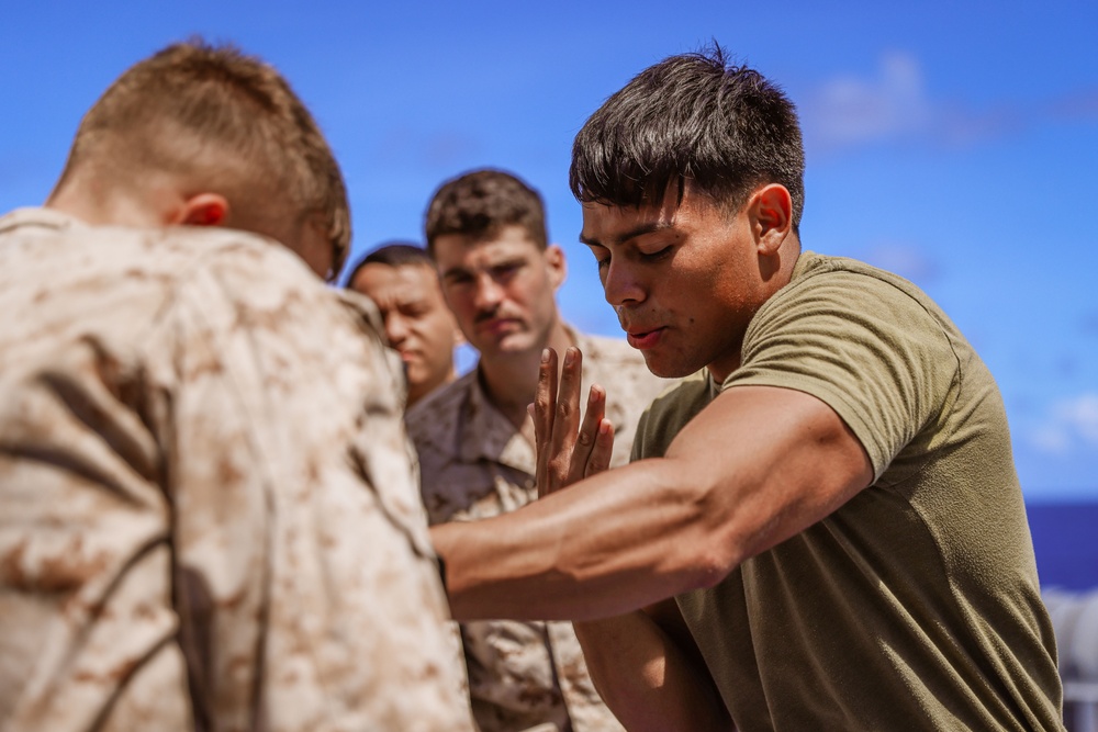 DVIDS - Images - Charlie Co. Conducts MCMAP Sustainment [Image 1 of 2]