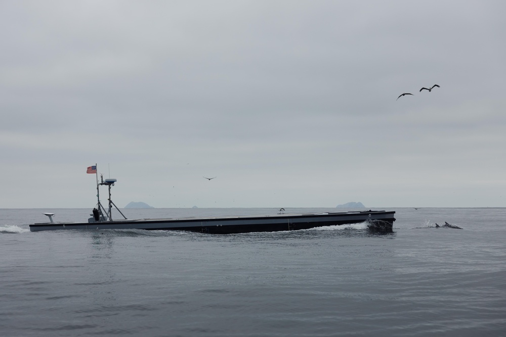 DVIDS - Images - CLB-12 Marines Operate Covert Logistics [Image 1 of 10]