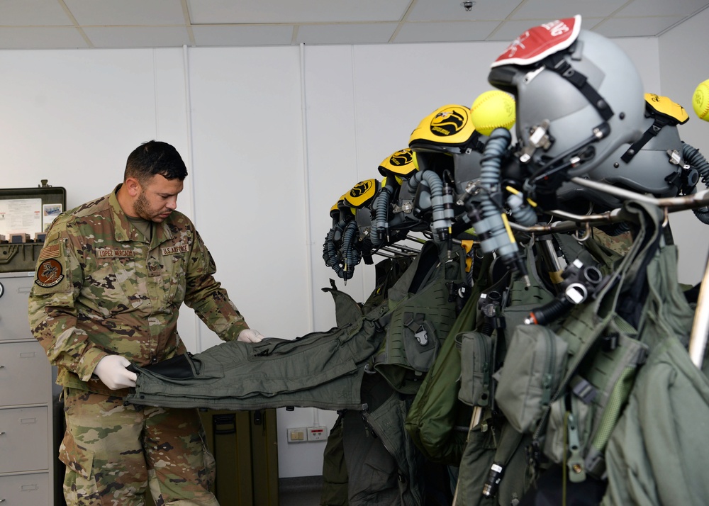 DVIDS - Images - USAF F-22A Raptor pilots take to the skies for large ...