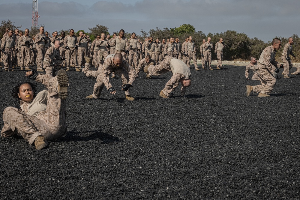 DVIDS - Images - Lima Company MCMAP [Image 4 of 7]