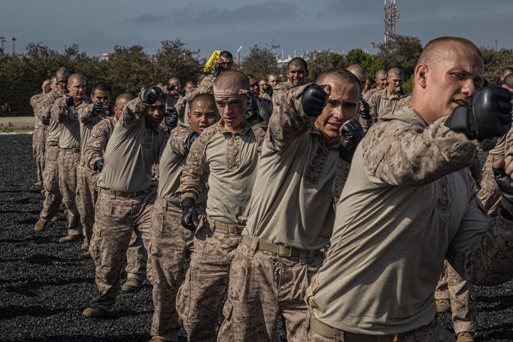 DVIDS - Images - Lima Company MCMAP [Image 5 of 7]