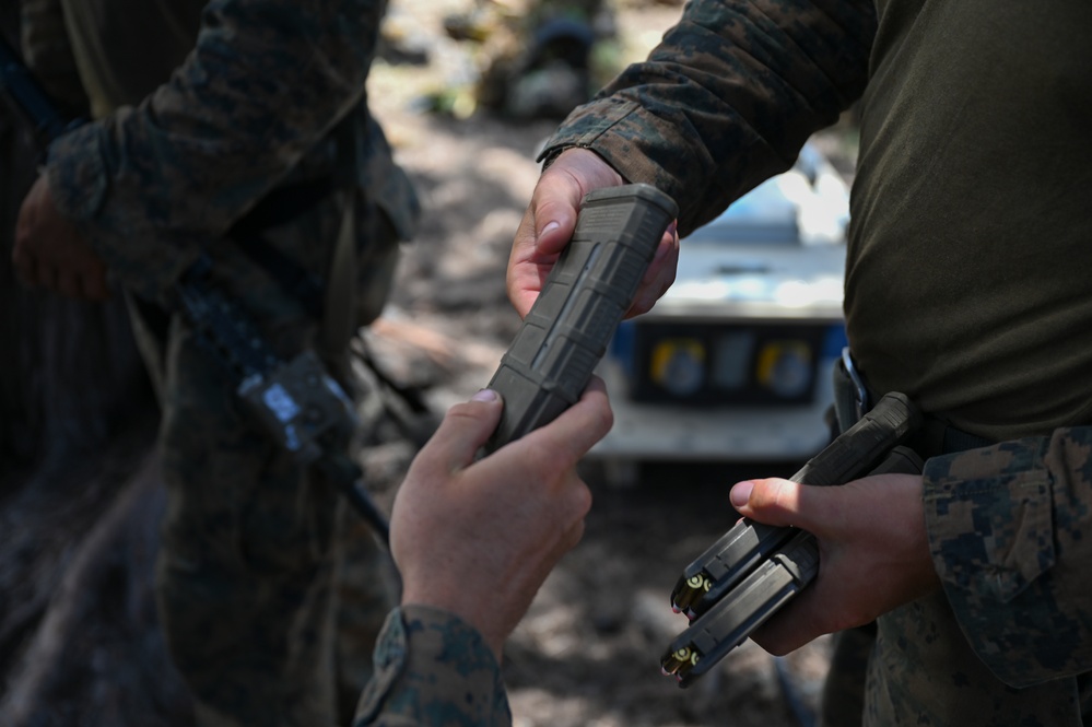 DVIDS - Images - US Marines conduct mounted operations training for ...