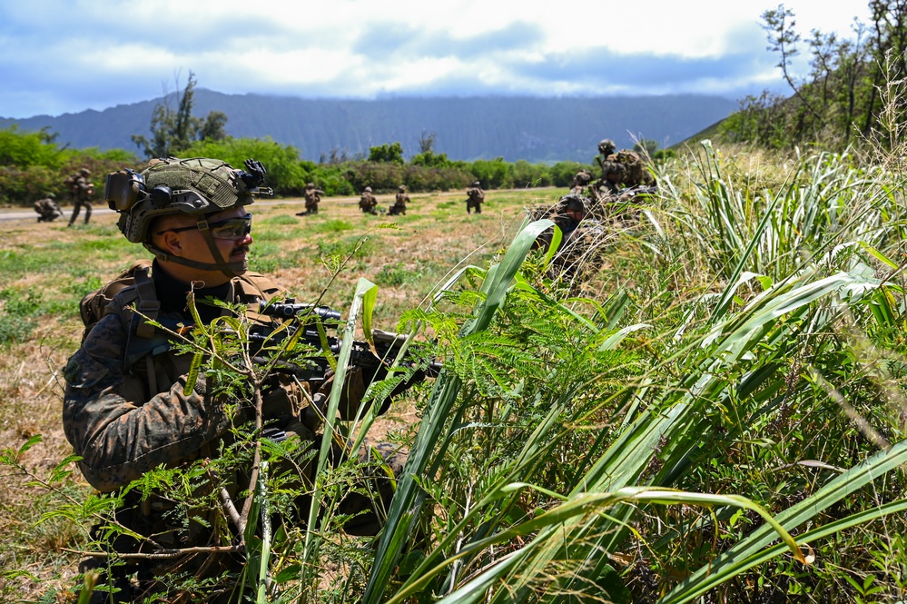 DVIDS - Images - US Marines conduct mounted operations training for ...