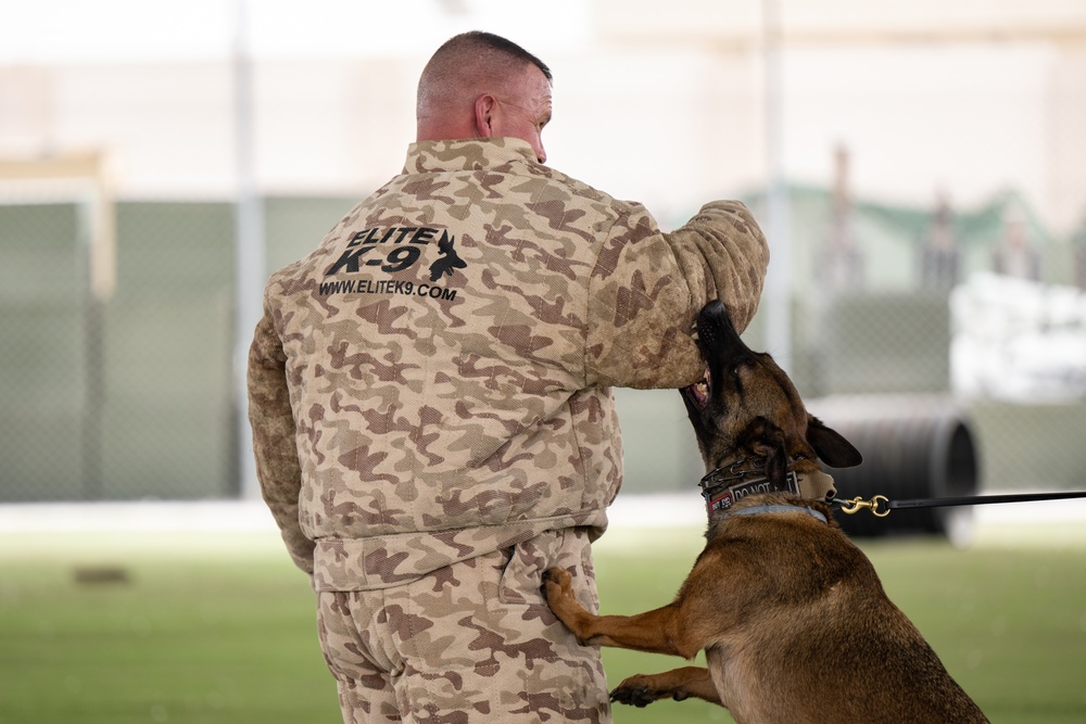 DVIDS - Images - MWD Demo within U.S. CENTCOM [Image 16 of 34]