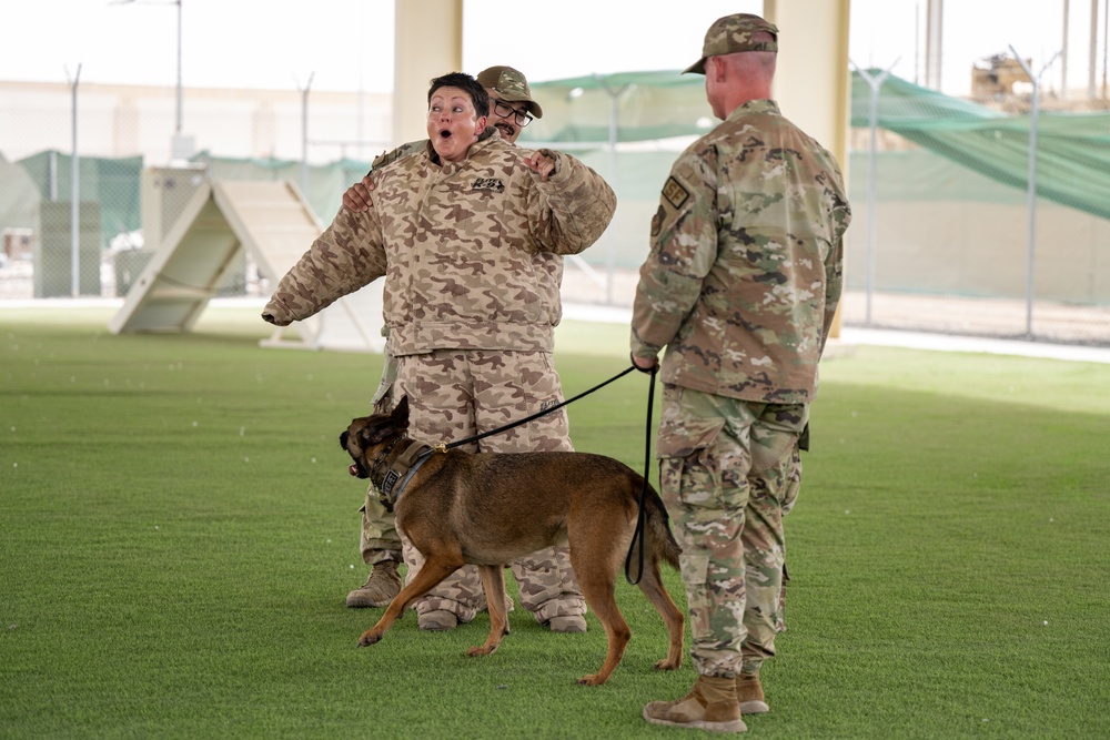 DVIDS - Images - MWD Demo within U.S. CENTCOM [Image 31 of 34]