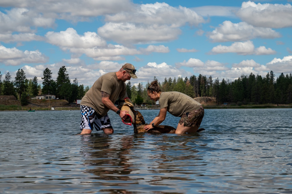 DVIDS - Images - Military working dog conduct water familiarization ...
