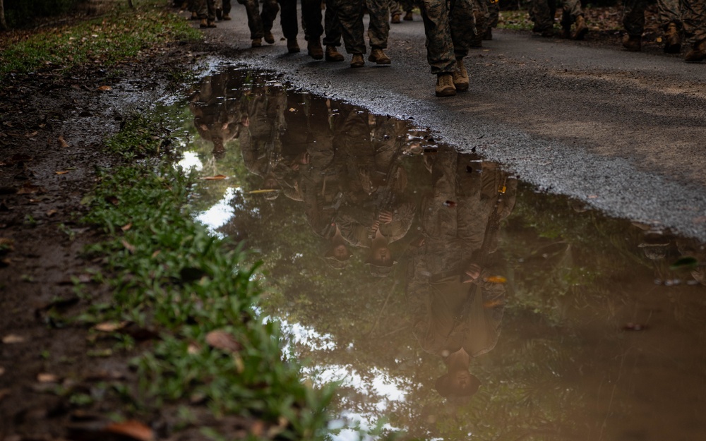 DVIDS - Images - MRF-D 24.3: Golf Co., 2nd Bn., 5th Marines (Rein ...