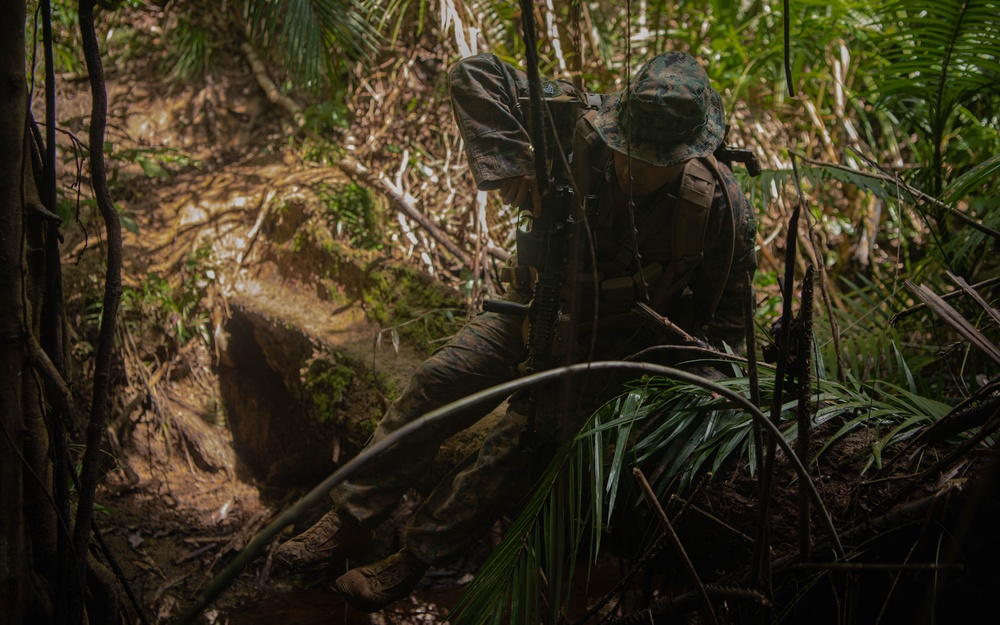 DVIDS - Images - MRF-D 24.3: Golf Co., 2nd Bn., 5th Marines (Rein ...
