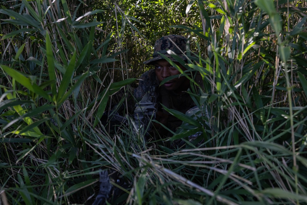 DVIDS - Images - RD24 | 3/12 FORCE ON FORCE [Image 2 of 2]