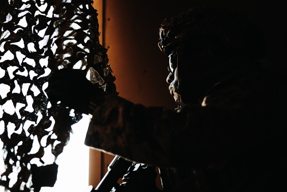 DVIDS - Images - Marines with 1/7 take part in AFX during SLTE 5-24 ...