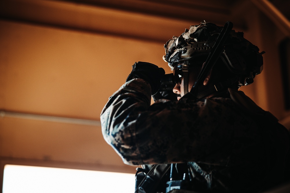 DVIDS - Images - Marines with 1/7 take part in AFX during SLTE 5-24 ...