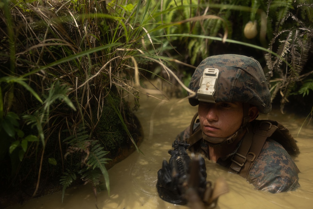 DVIDS - Images - 2nd LAAD Completes Endurance Course at Basic Jungle ...