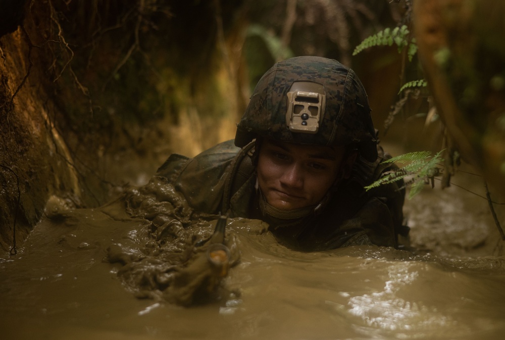 DVIDS - Images - 2nd LAAD Completes Endurance Course at Basic Jungle ...