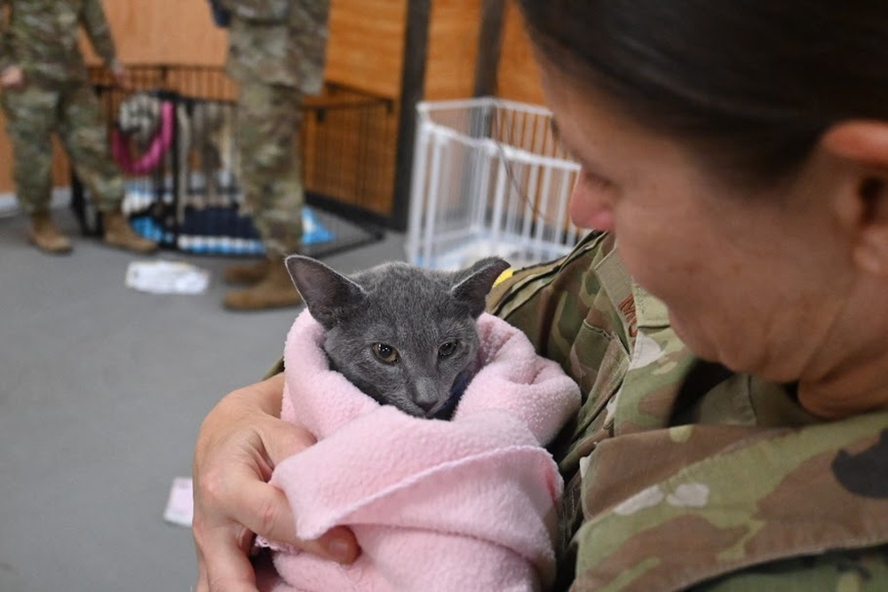 DVIDS - News - DCARNG Medical Detachment remove gaps in health, dental ...