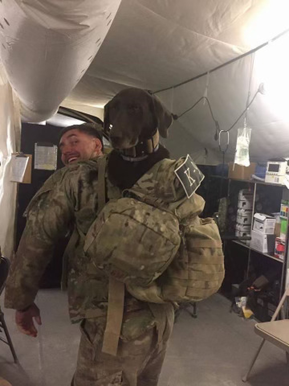 DVIDS - News - Adopting the country’s MWD heroes