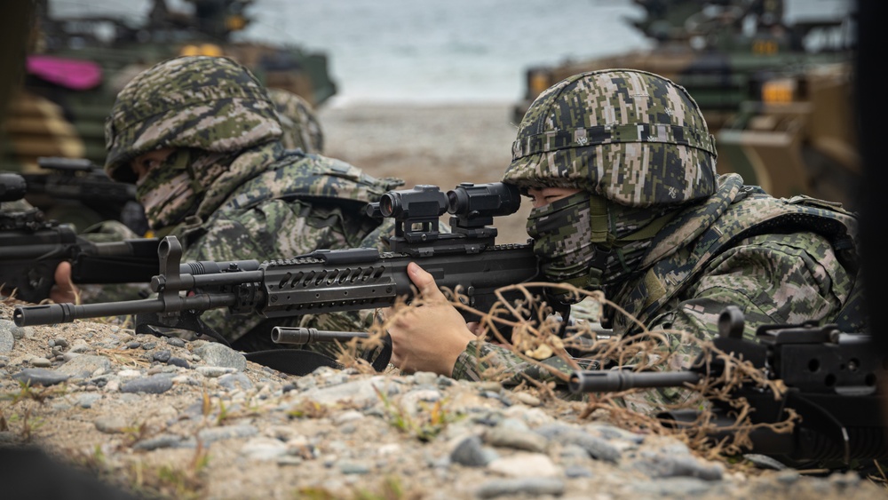 DVIDS - Images - SY 24 | ROKMC Conducts Ship to Shore Movement [Image ...