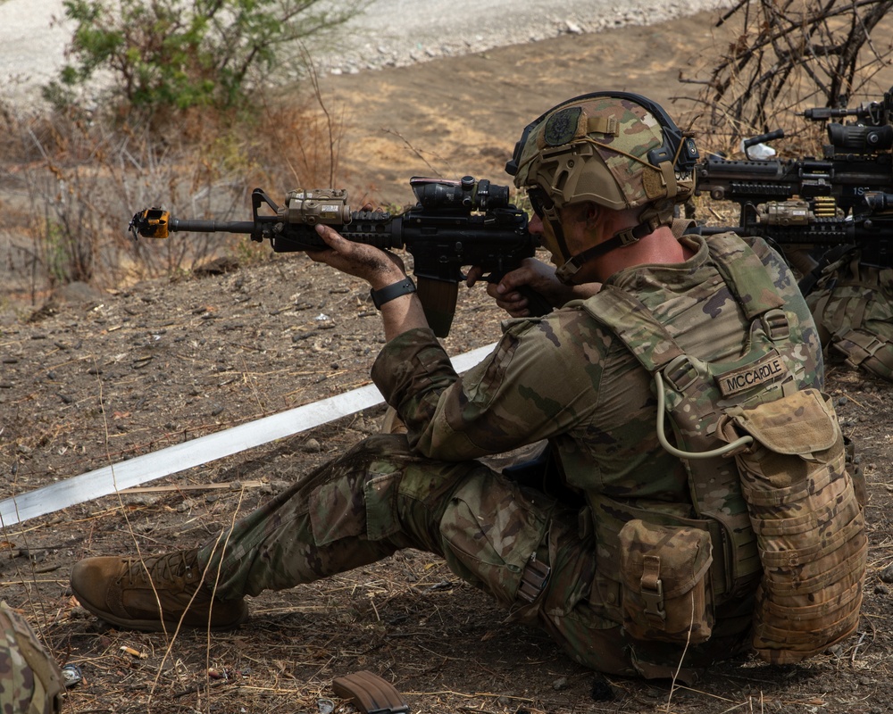 DVIDS - Images - US, partners go through blank-fire rehearsal for ...
