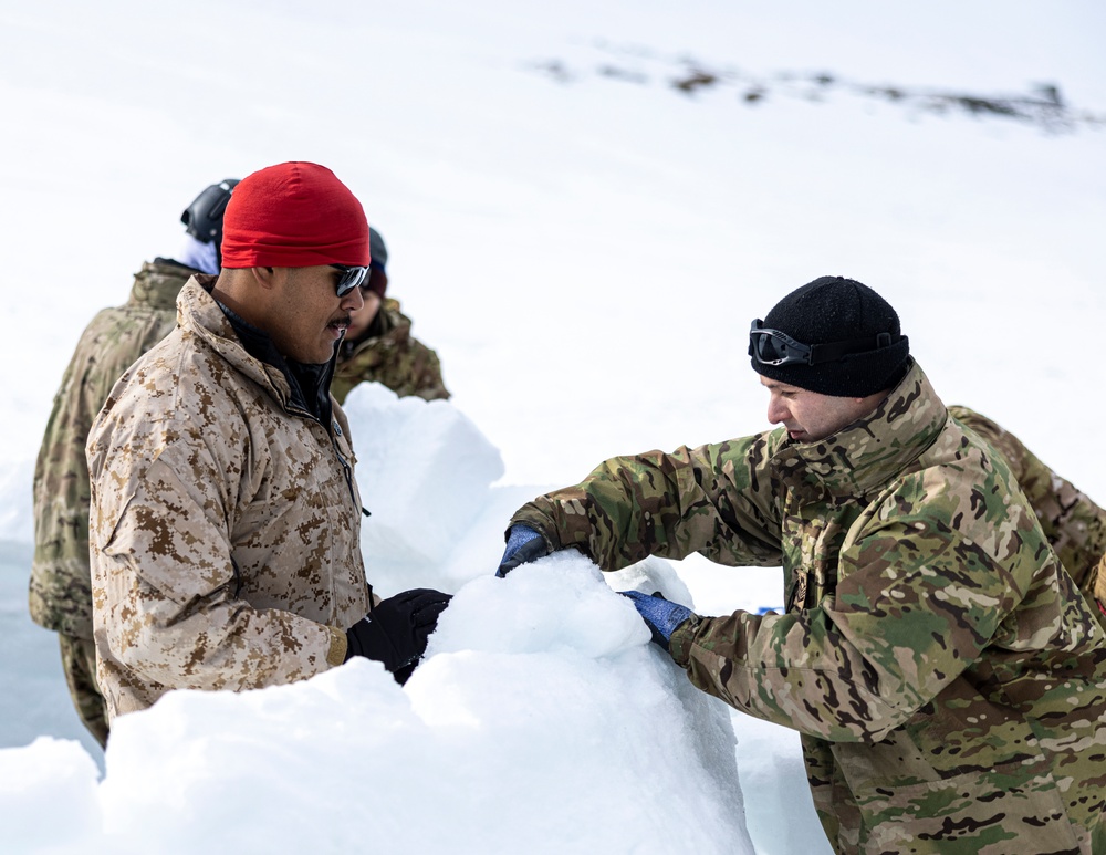 DVIDS - Images - U.S. Marine Corps Mountain Warfare Instructors build ...