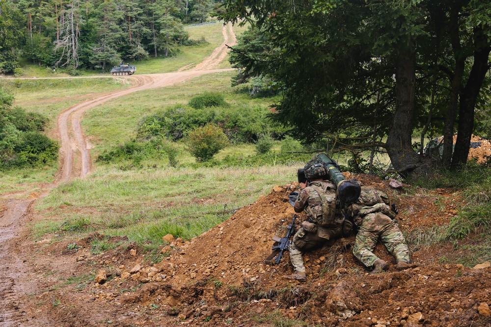 DVIDS - Images - Saber Junction 24 [Image 2 of 3]