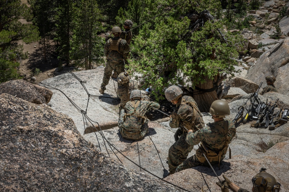 DVIDS - Images - Marines with 2/1 conduct a suspension and traverse ...