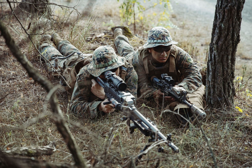 DVIDS - Images - SY 24 | BLT 1/5, ROK Marines Conduct Training at ...