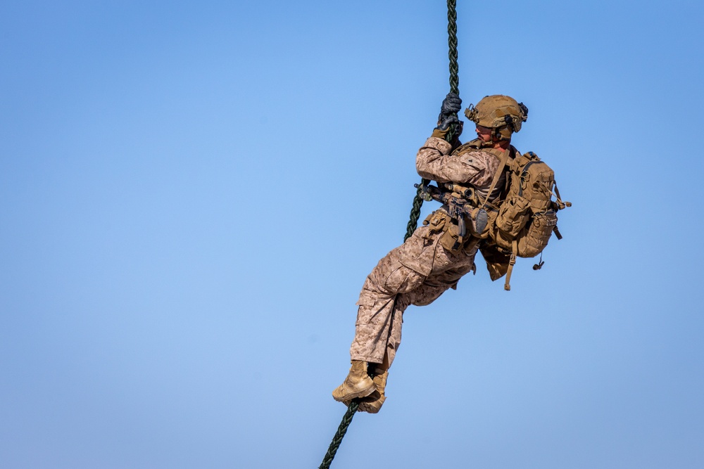 DVIDS - Images - WTI 1-25 Fast Rope Training [Image 3 of 4]