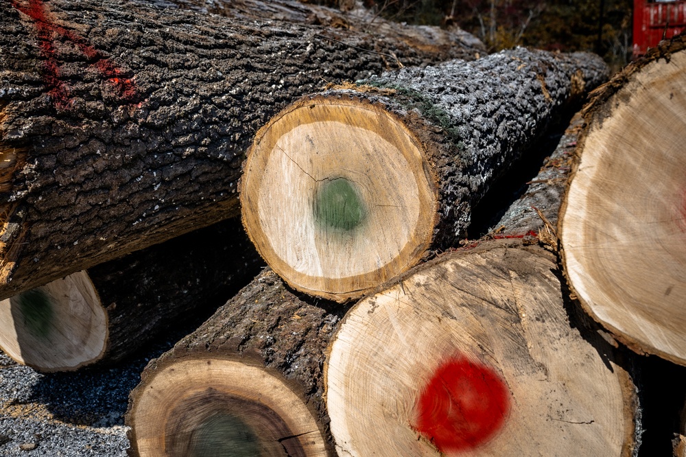 DVIDS - Images - USACE completing FEMA debris clearing missions in ...