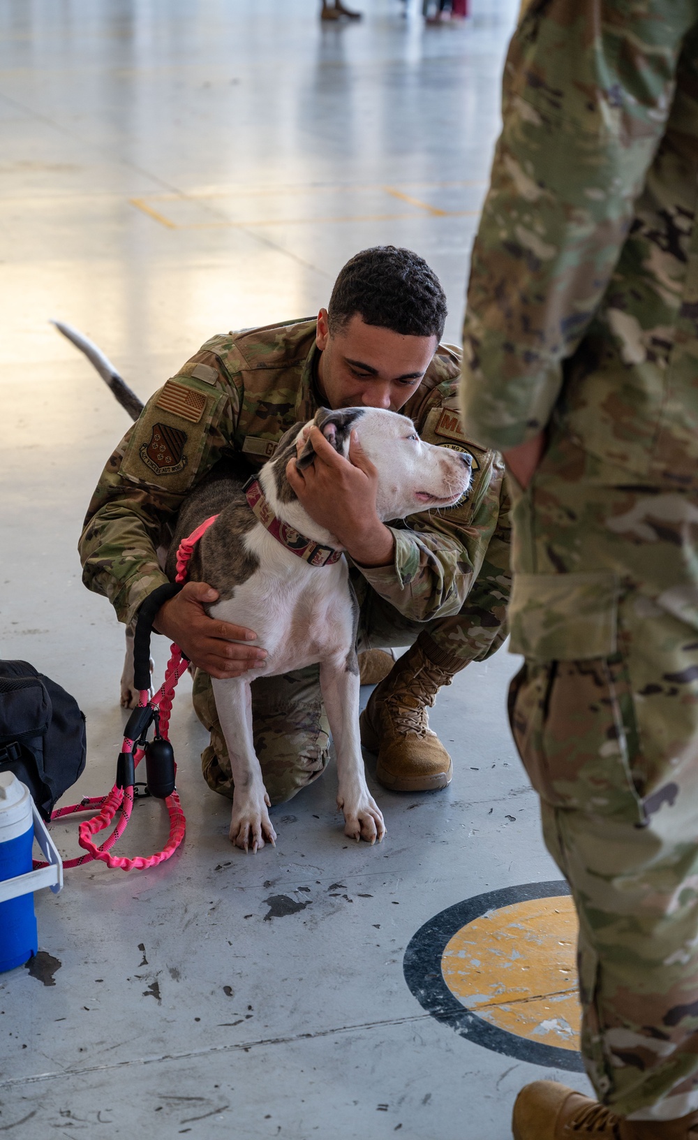 DVIDS - Images - 1st Fighter Wing Homecoming [Image 4 of 4]