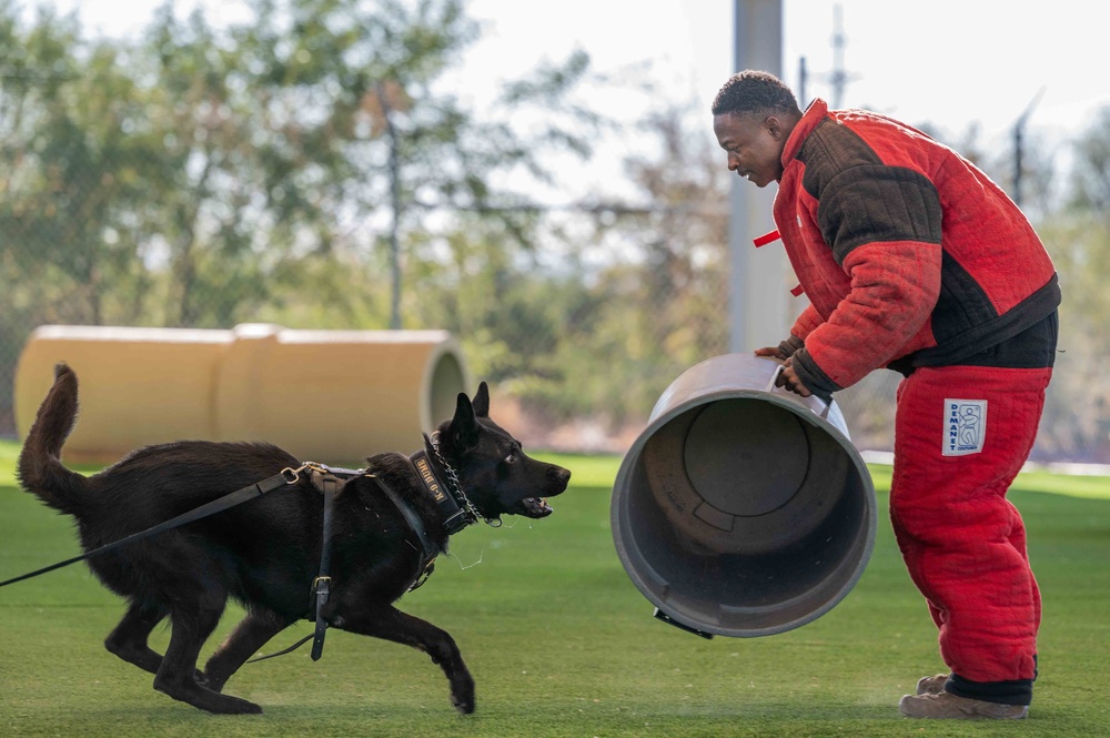 DVIDS - Images - Street Level Two K9 Seminar [Image 3 of 9]