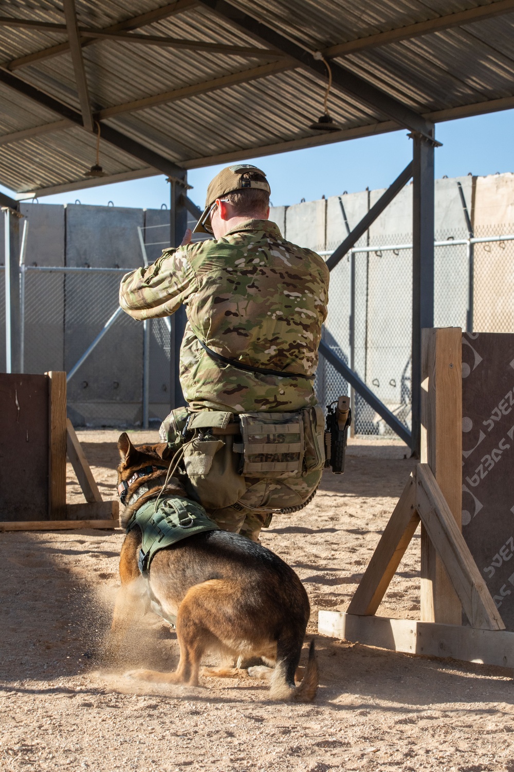 DVIDS - Images - Coalition Members Train With CJTF-OIR K-9 [Image 8 of 9]