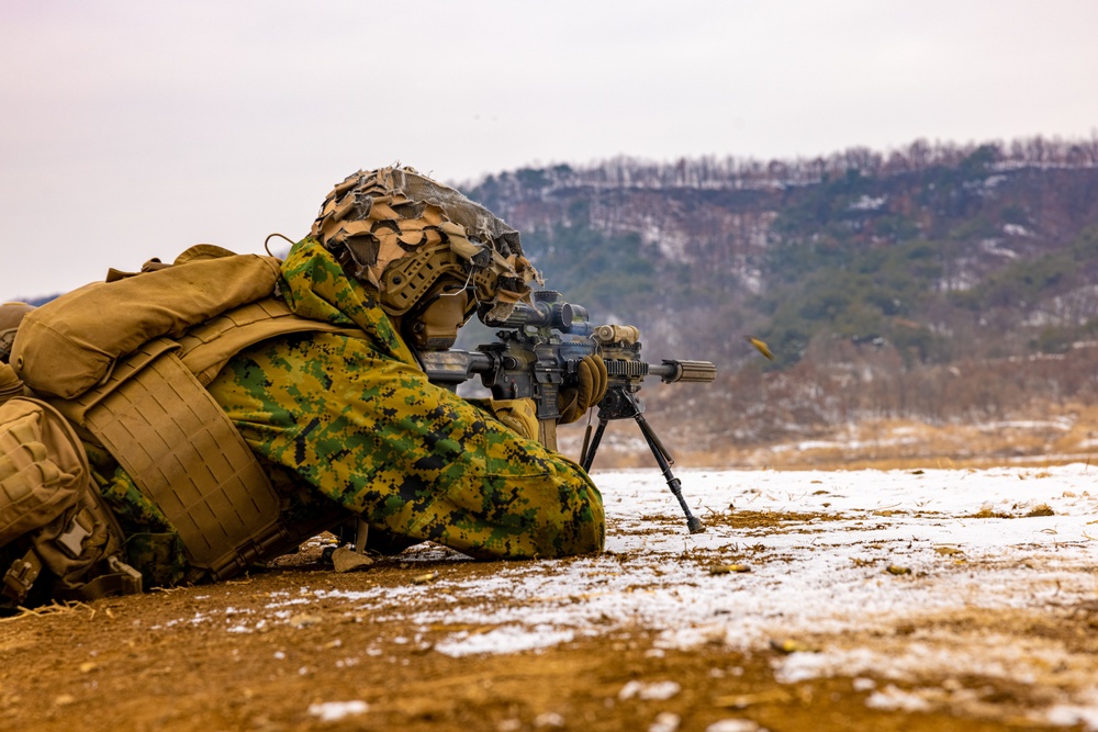 DVIDS - Images - U.S. Marines Integrate with U.S. Army to Execute ...