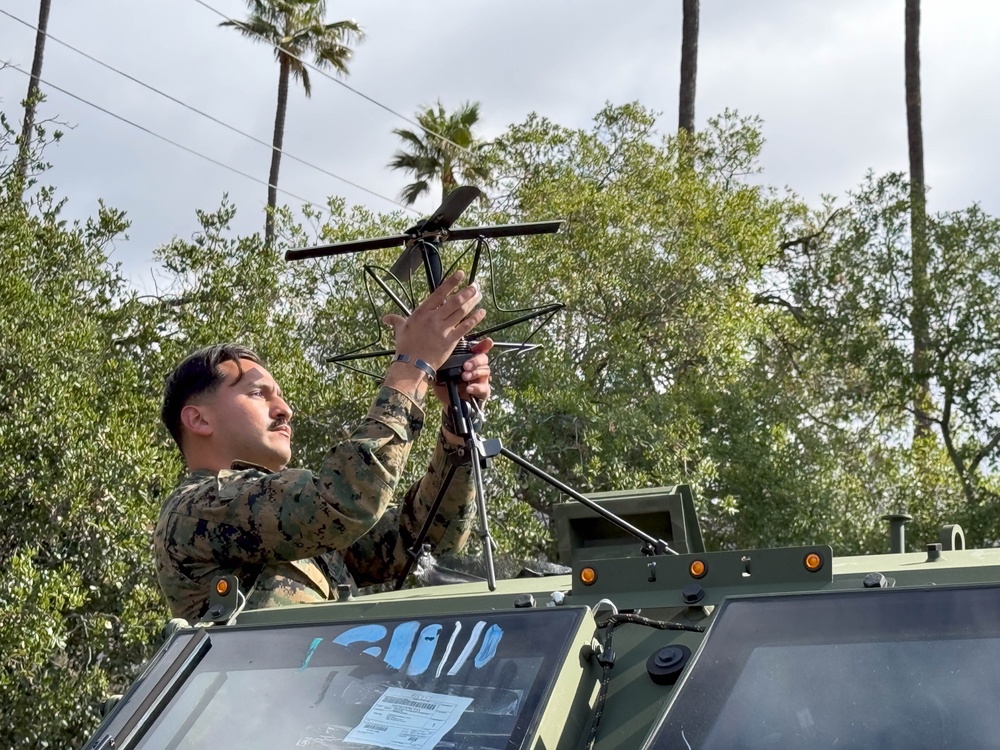 DVIDS - Images - U.S. Marines with 1st MLG begin clean-up operations ...