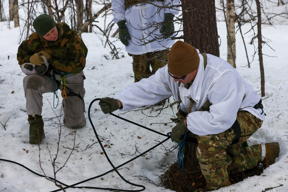 DVIDS - Images - MLRS battalion medics conduct rappelling and casualty ...